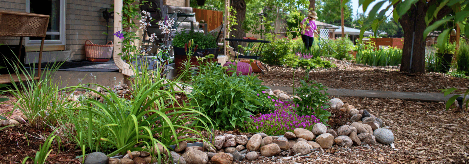 Lawn Replacement Program - Resource Central