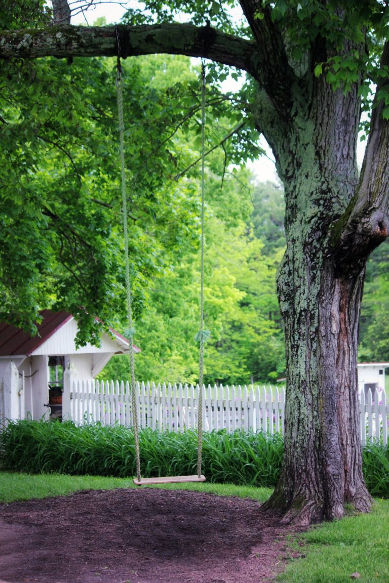 Coloradans & Grass: Kentucky Bluegrass - Resource Central