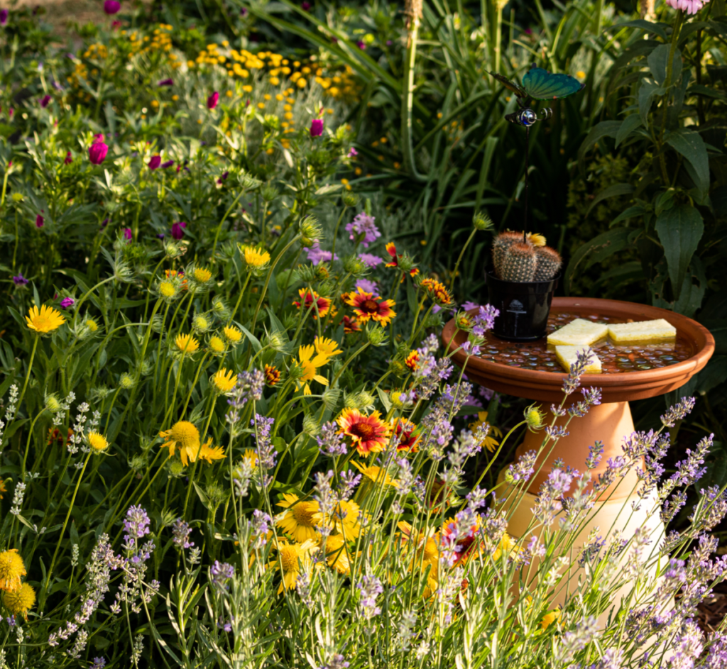 Waterwise Rebuilding with Garden In A Box - Resource Central