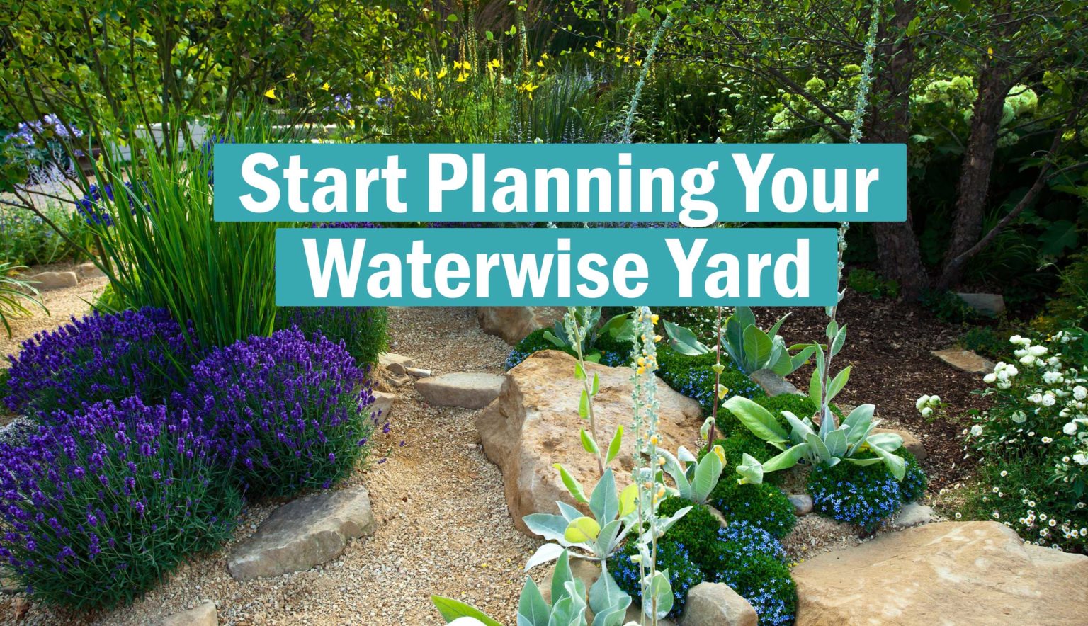 Start Planning Your Waterwise Yard Now! - Resource Central