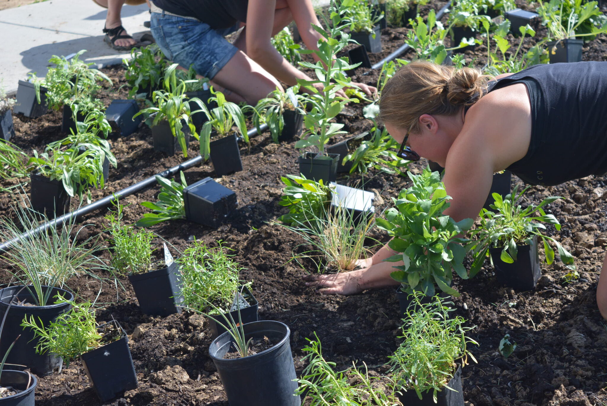 Save Water - Resource Central