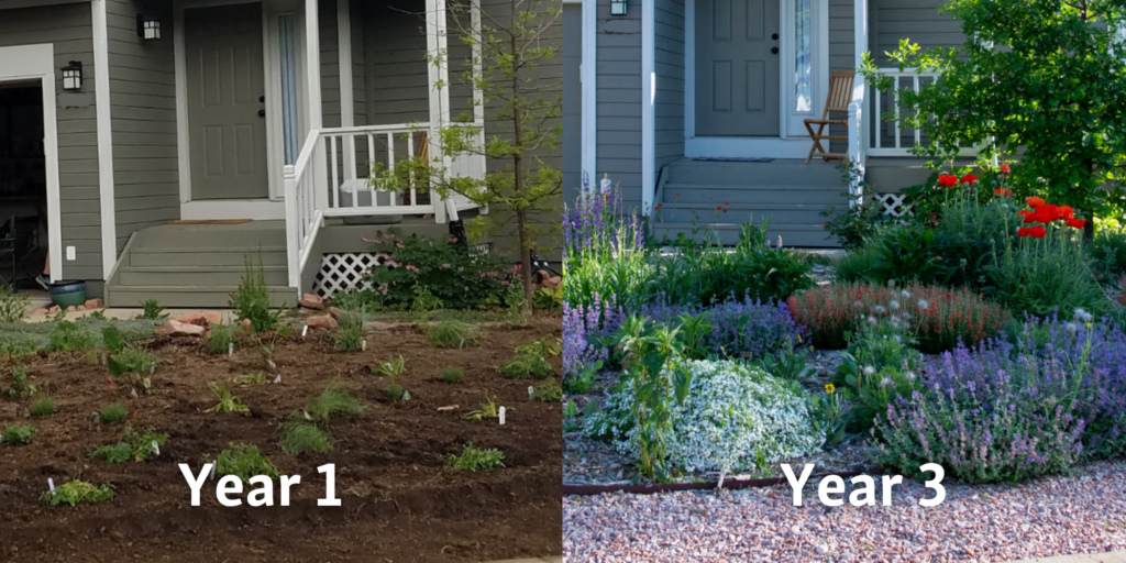 5 Steps to Tailor a Garden In A Box Kit to Your Space - Resource Central