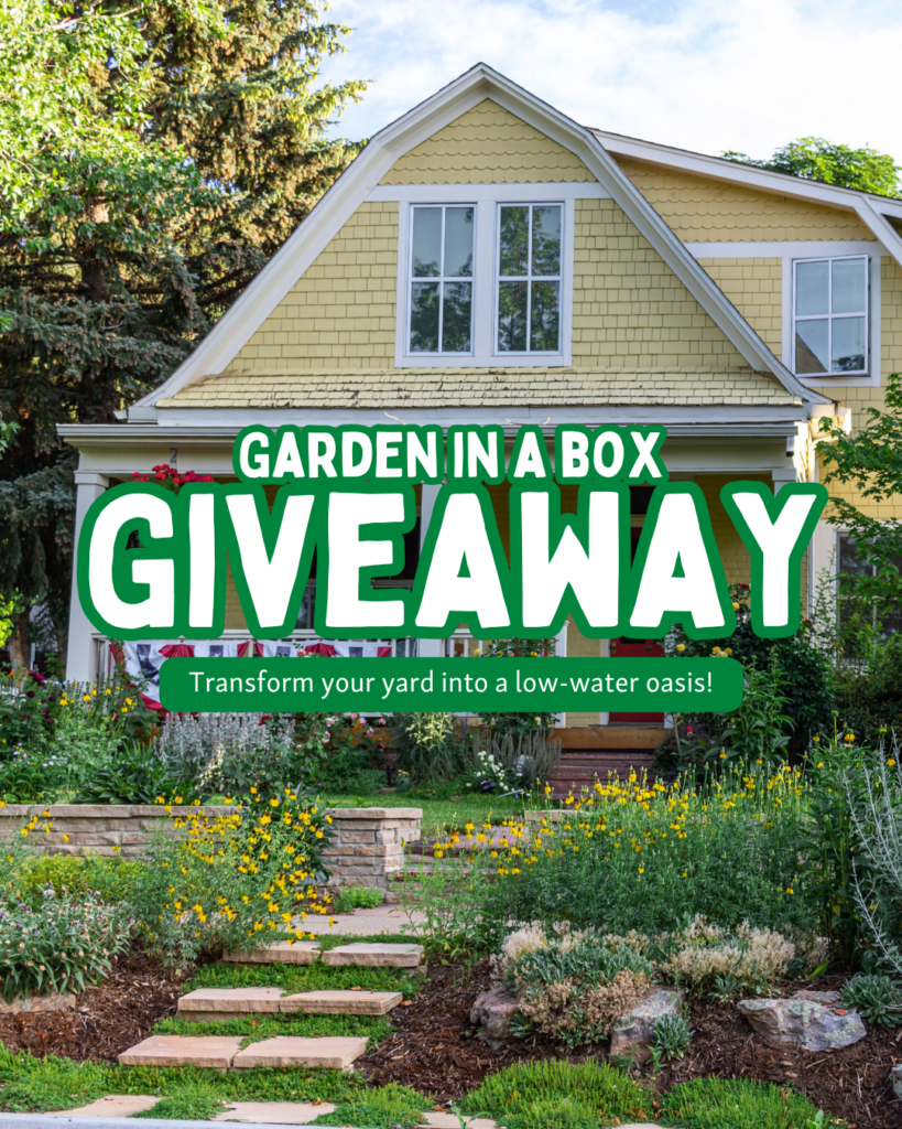 2025 Garden In A Box Giveaway - Resource Central