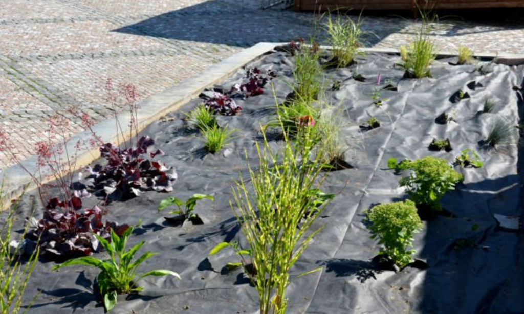 To Use or Not Use Landscape Fabric? That is the Question! - Resource Central