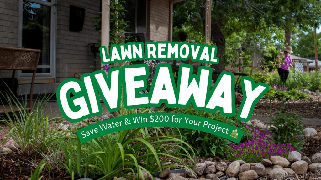 Lawn Removal Giveaway: Save Water & Get $200 for Your Project! 💧 - Resource Central